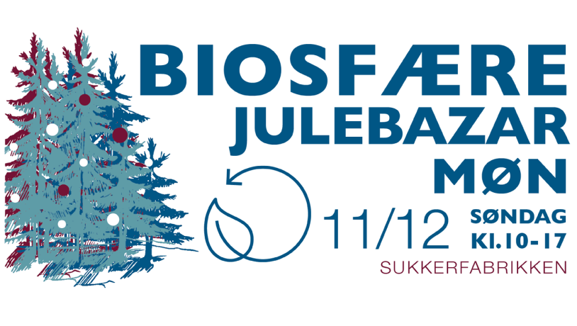 Julemarkeder og skønne julebutikker på Sydsjælland & Møn | Sydsjælland & Møn